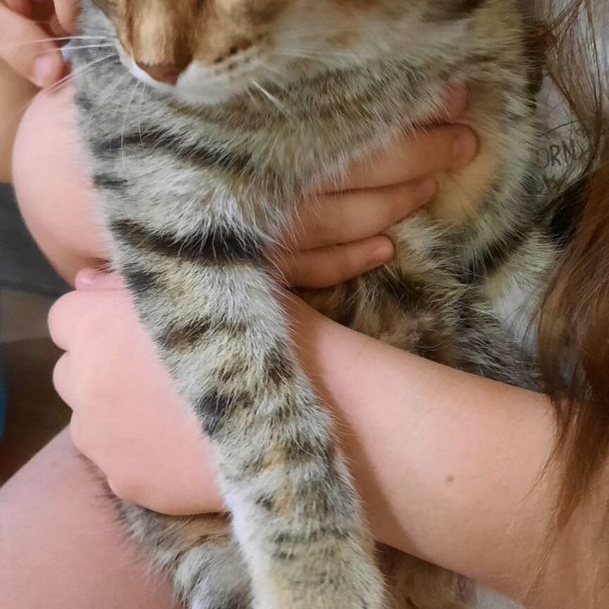 Кошечка подросток