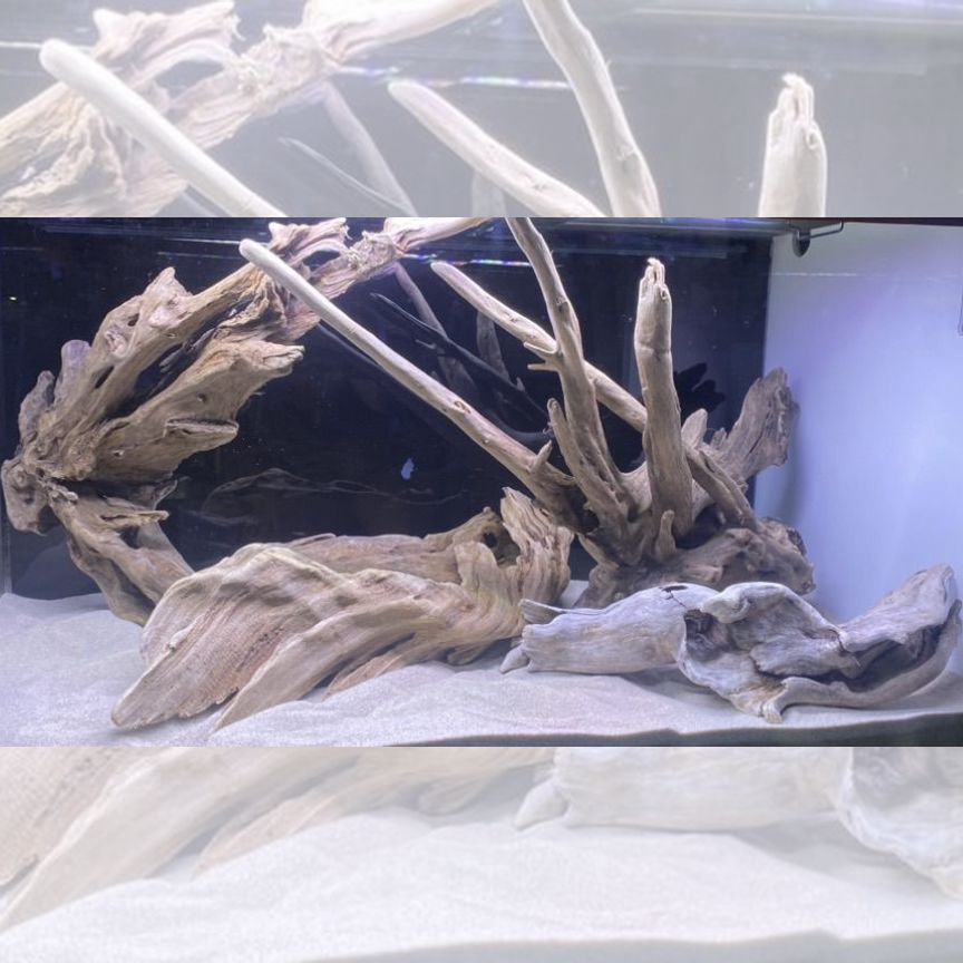 Две большие коряги для аквариума