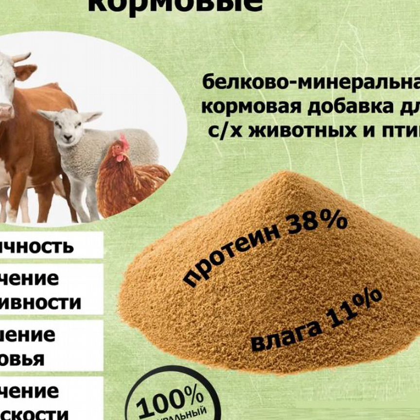 Дрожжи кормовые