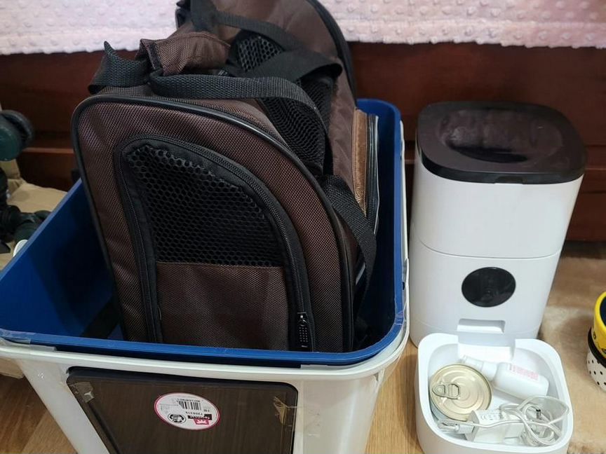 Набор для кошек