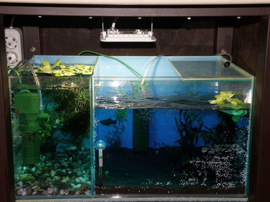 Аквариум 50 литров со всем содержимым