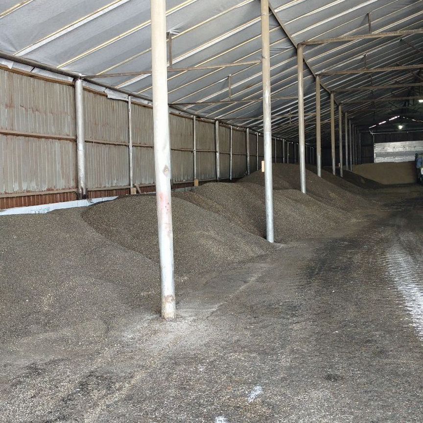 Семечка кислотная