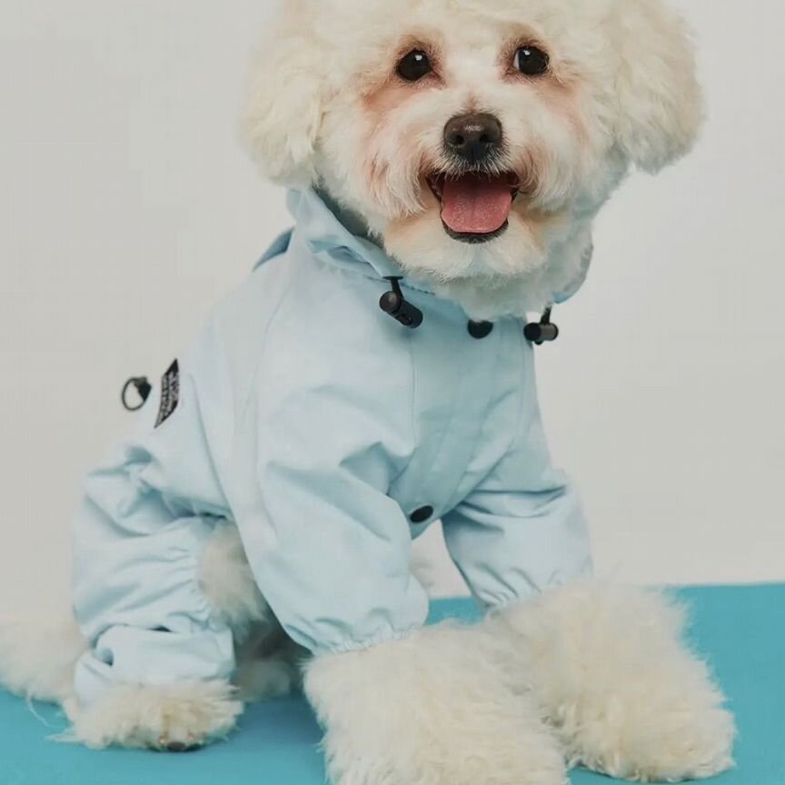 Дождевик для собаки маленькой породы 35