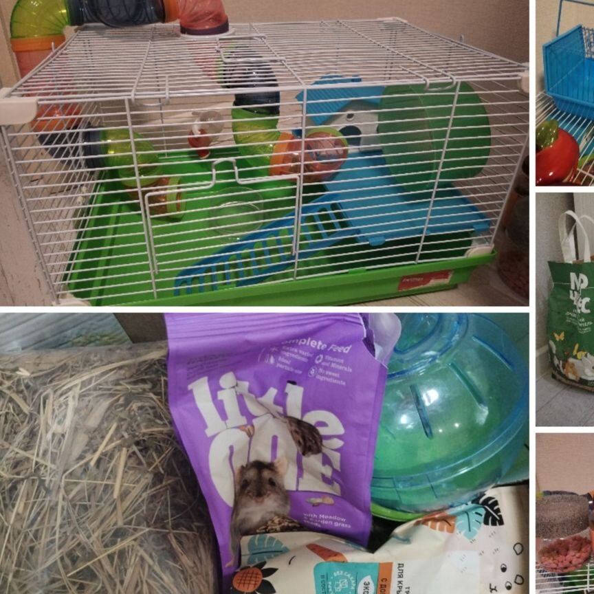 Клетка для хомячка со всем необходимым