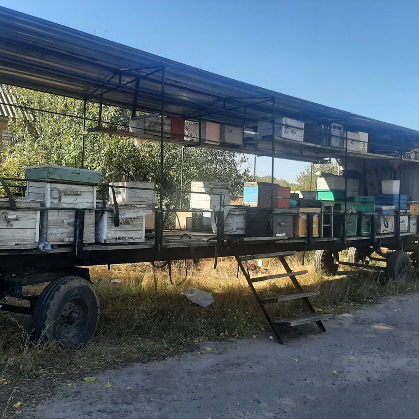 Пчеловодческая телега