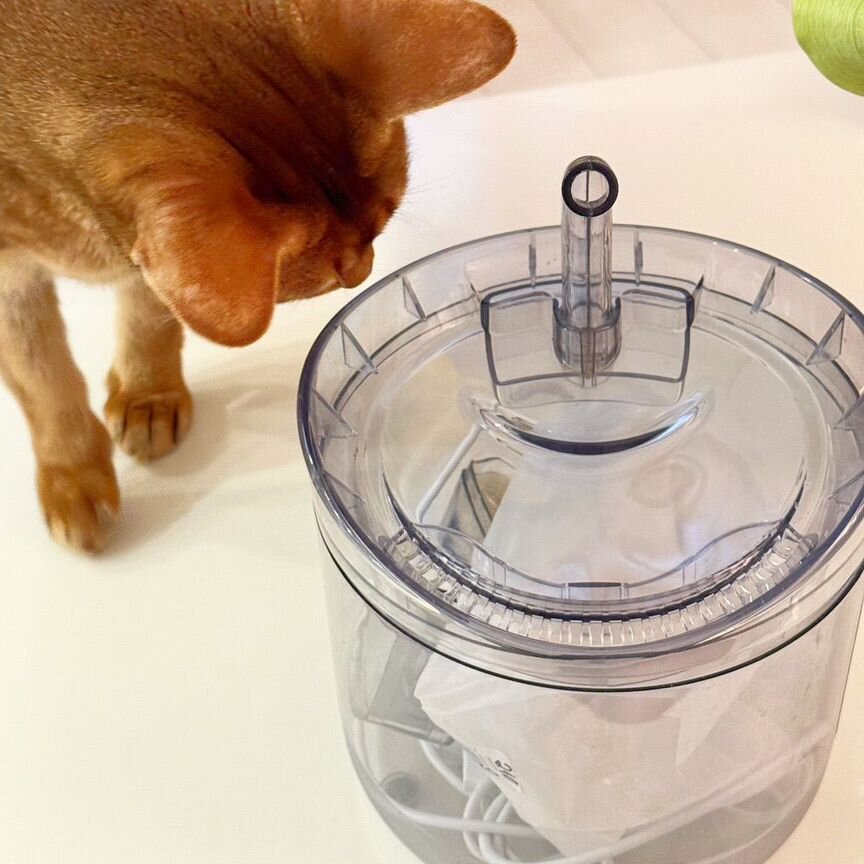 Питьевой фонтан для кошек. Работает