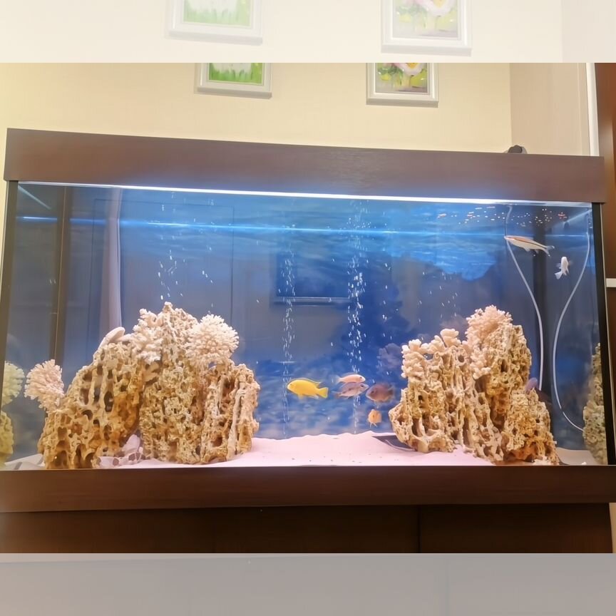 Аквариум 500 л с тумбой