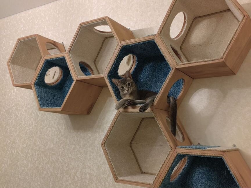 Домик соты для кота большой