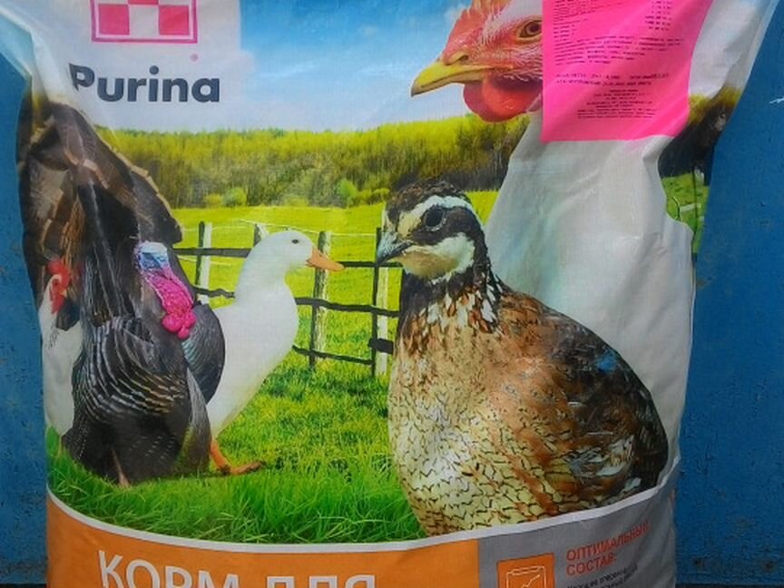 Комбикорм purina