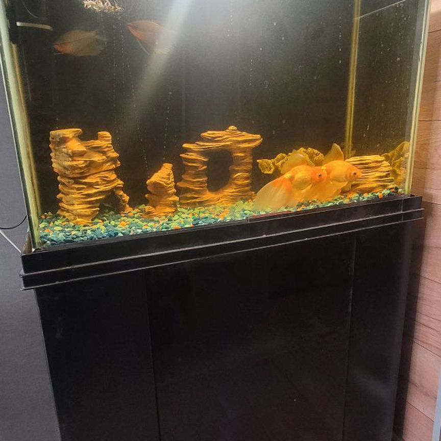 Аквариум с тумбой 150л с большим преданным