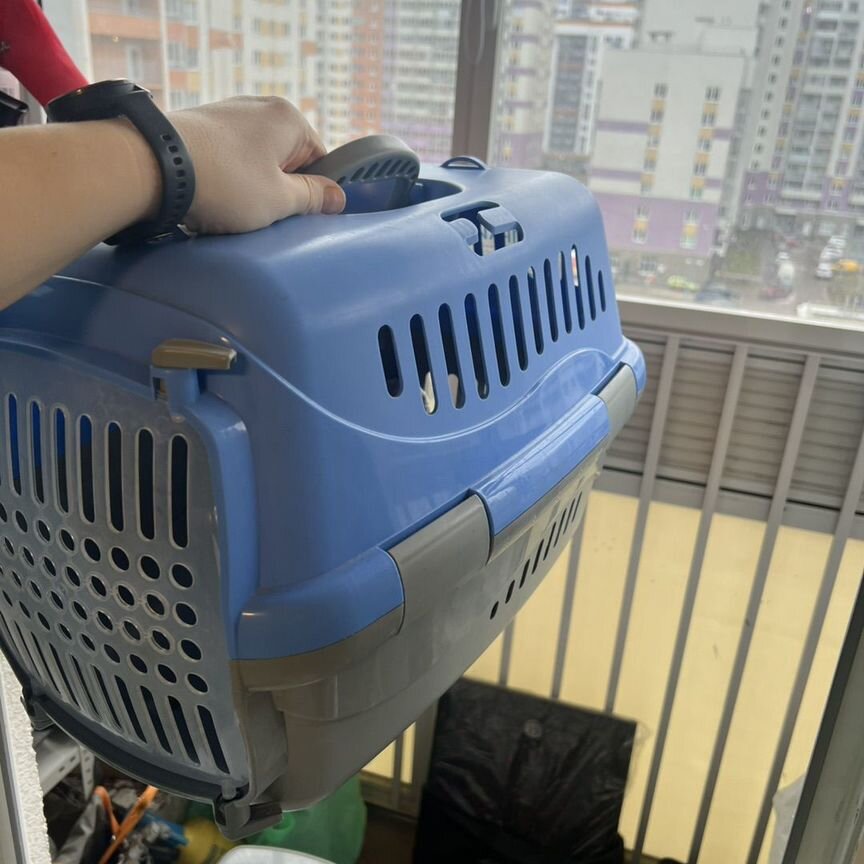 Переноска для кошек пластиковая