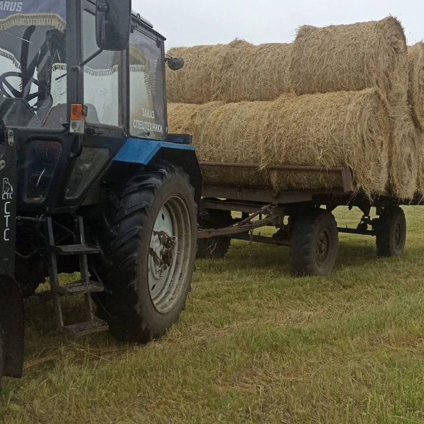 Продам сено 500кг