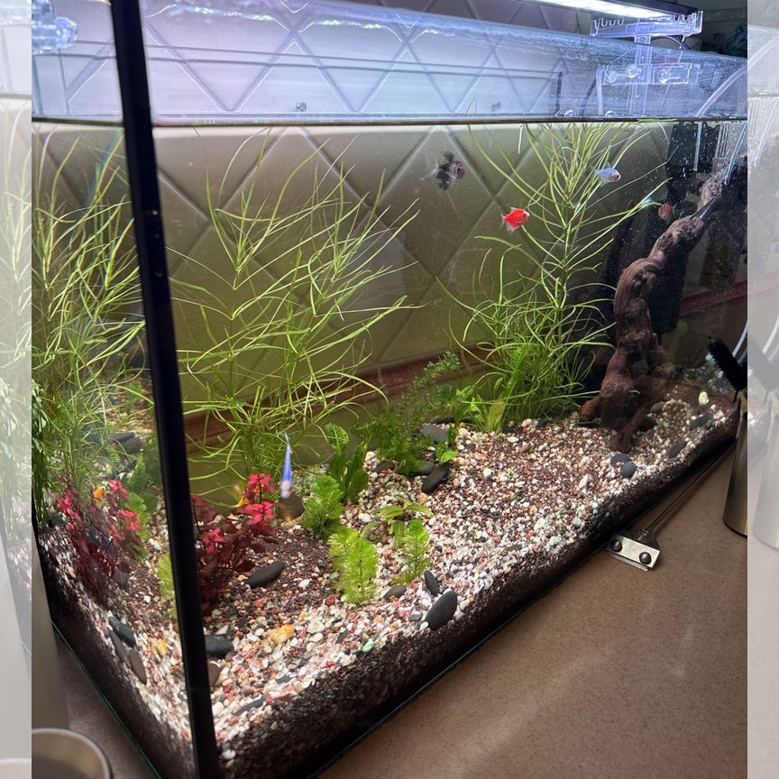 Аквариум бу с рыбками
