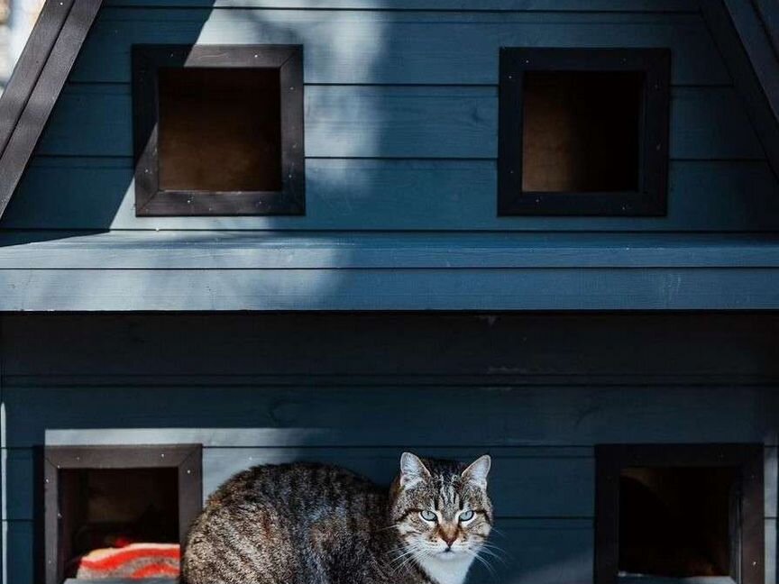Уличный домик для кошек