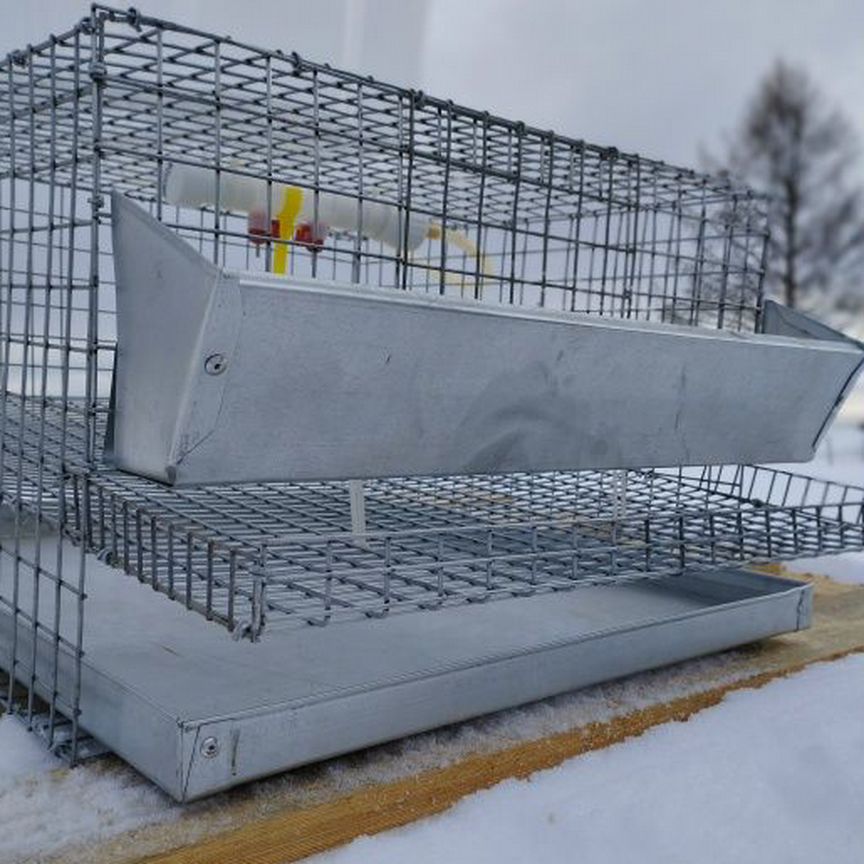 Клетки для перепелов бу