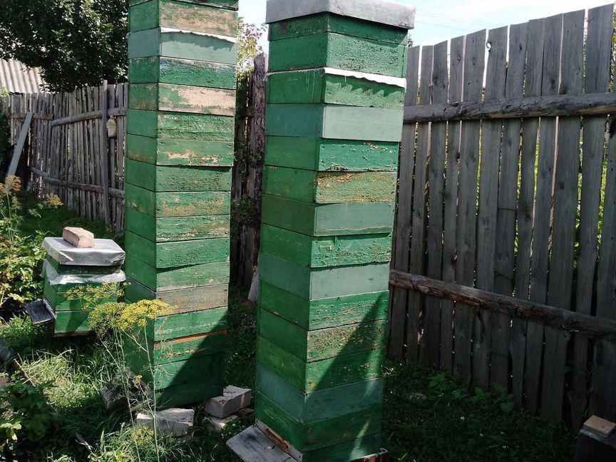 Альпийский улей. Улья для пчёл