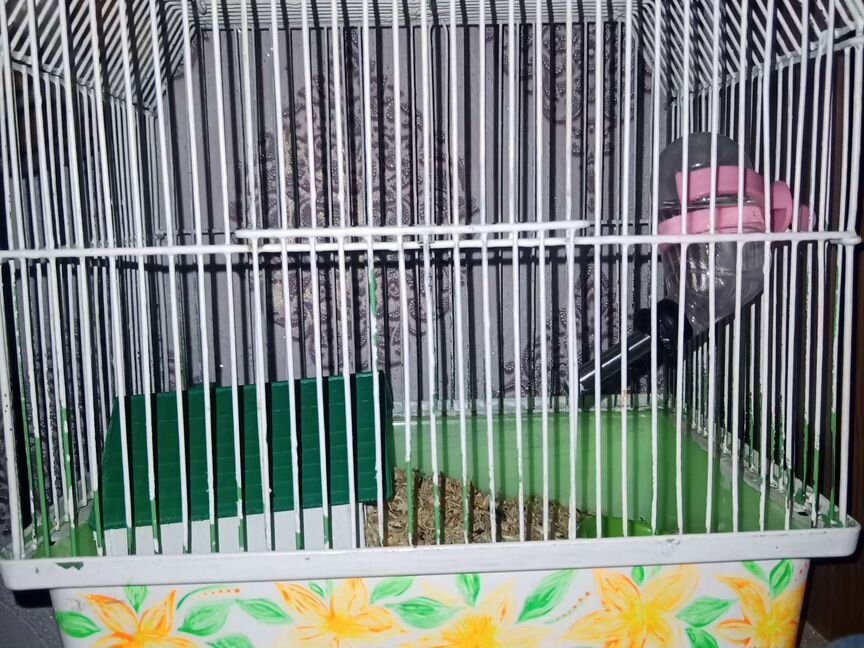 Клетка для грызунов бу