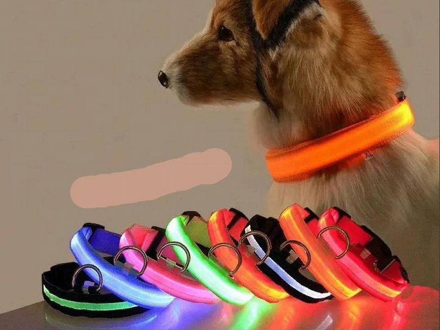 Ошейник светящийся для собак