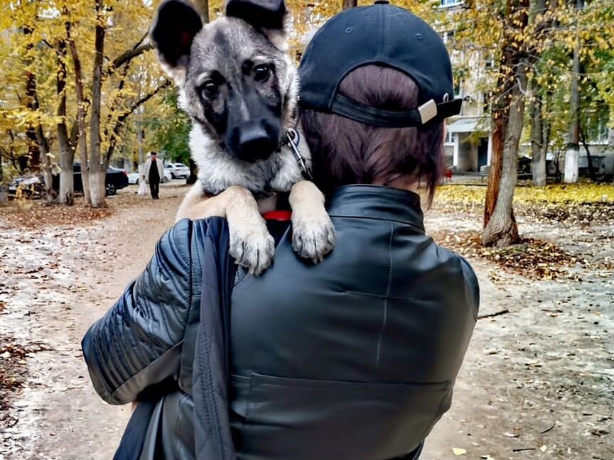 Милаша, 4.5 мес