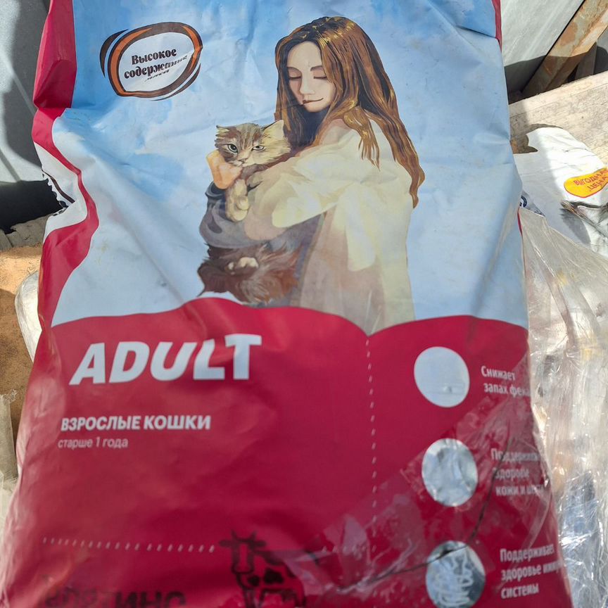 Кошачий сухой корм