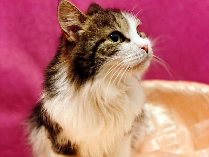 Малышка Бонни