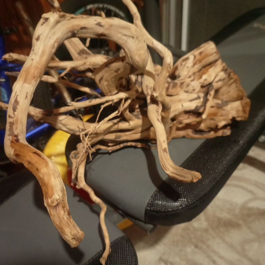 Коряги и пни для аквариумов, для змеи