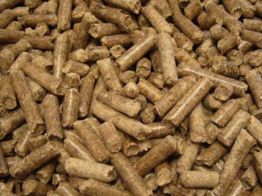 Реализация рапсового и соевого шрота