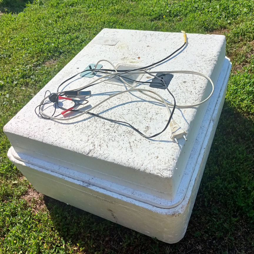 Инкубатор для яиц