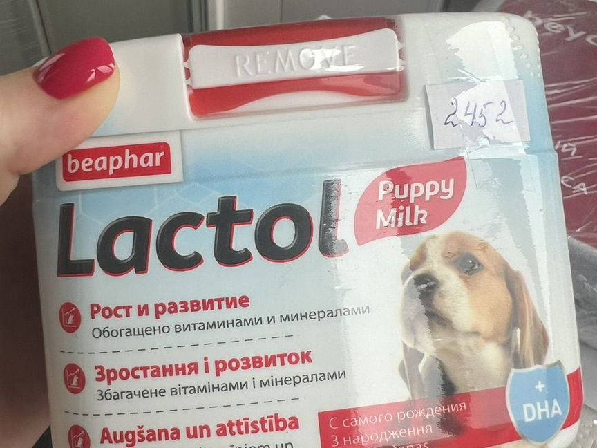 Сухое сучье собачье молоко
