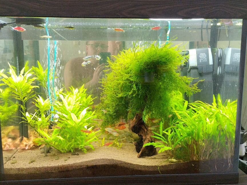 Аквариум 100 л с рыбой