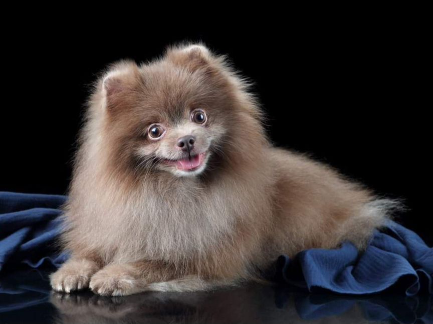 Взрослый мальчик