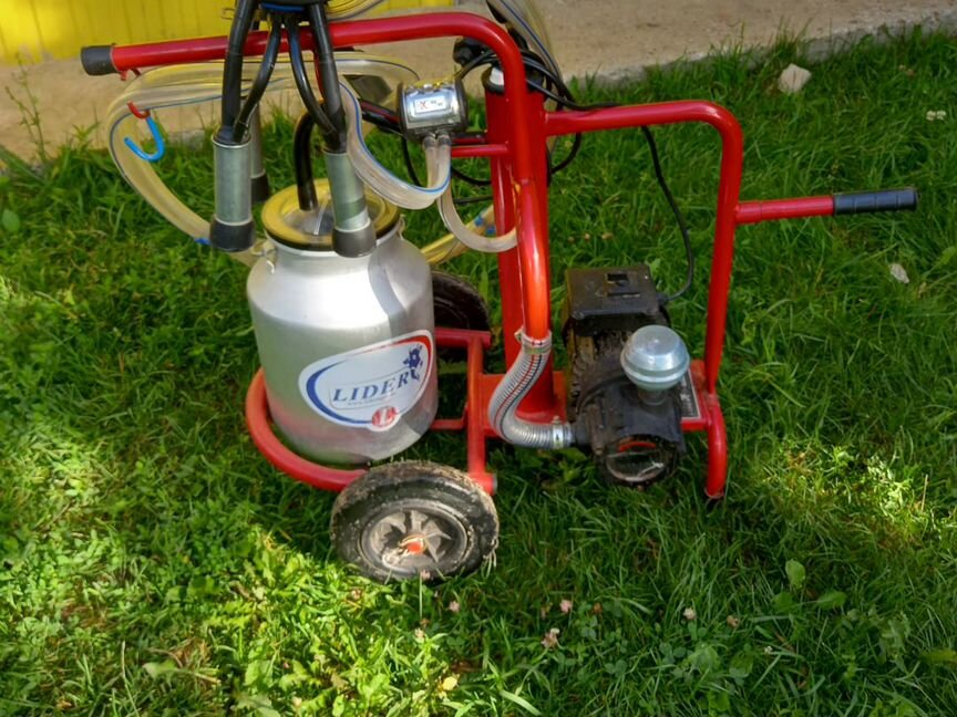 Доильный аппарат бу