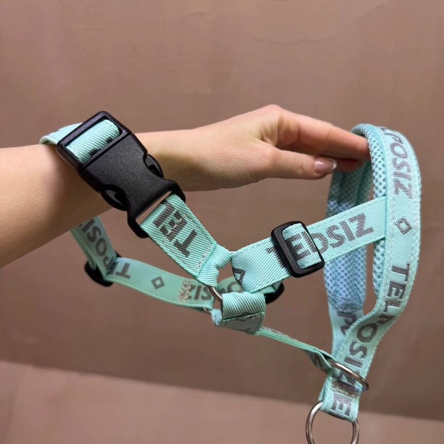 Халти, недоуздок для собак