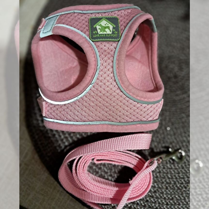 Анатомическая Шлейка с поводком