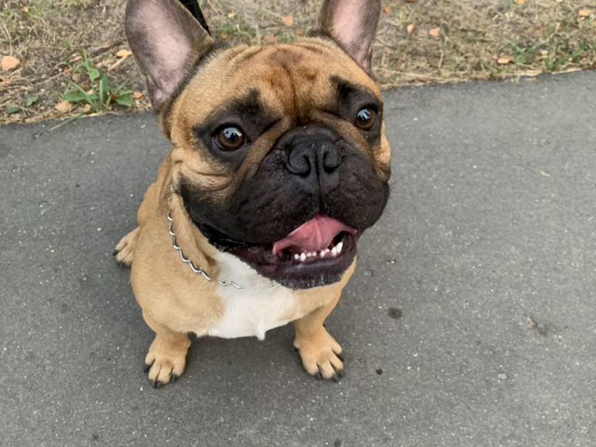 Ищем подружку