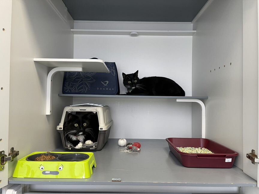 Зоогостиница / оборудование