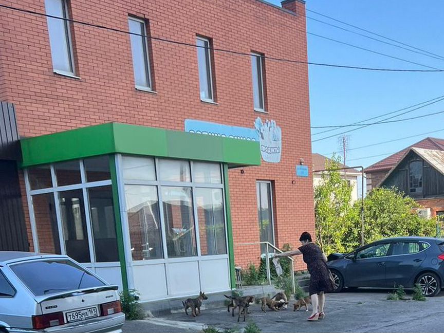 Собаки-охранники бесплатно