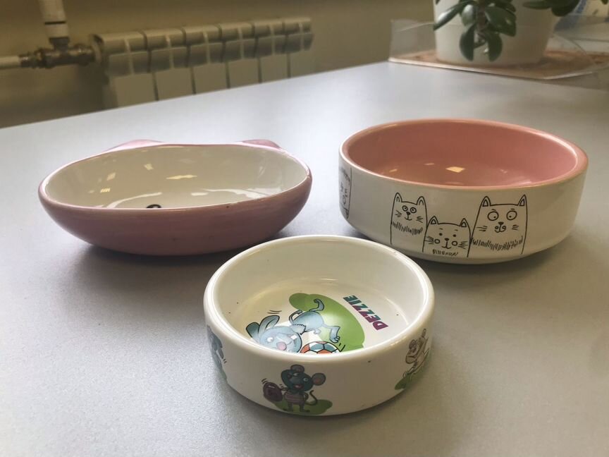Миски для кошек керамика