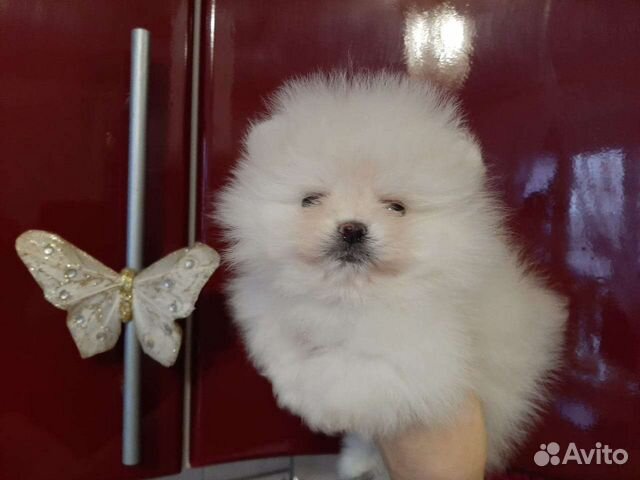 Микромальчик и девочка