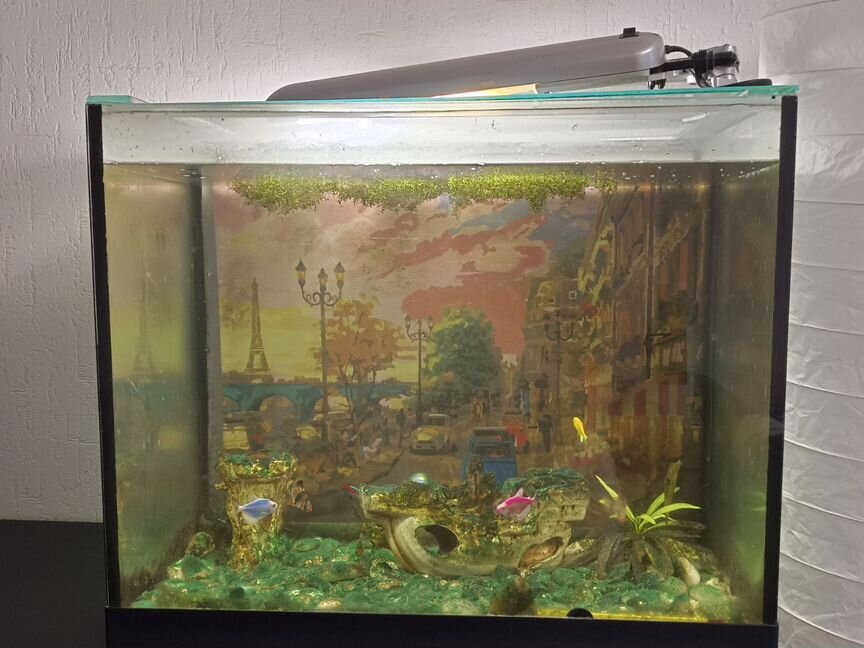 Аквариум с рыбками бу