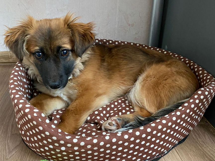 Малышка ищет семью