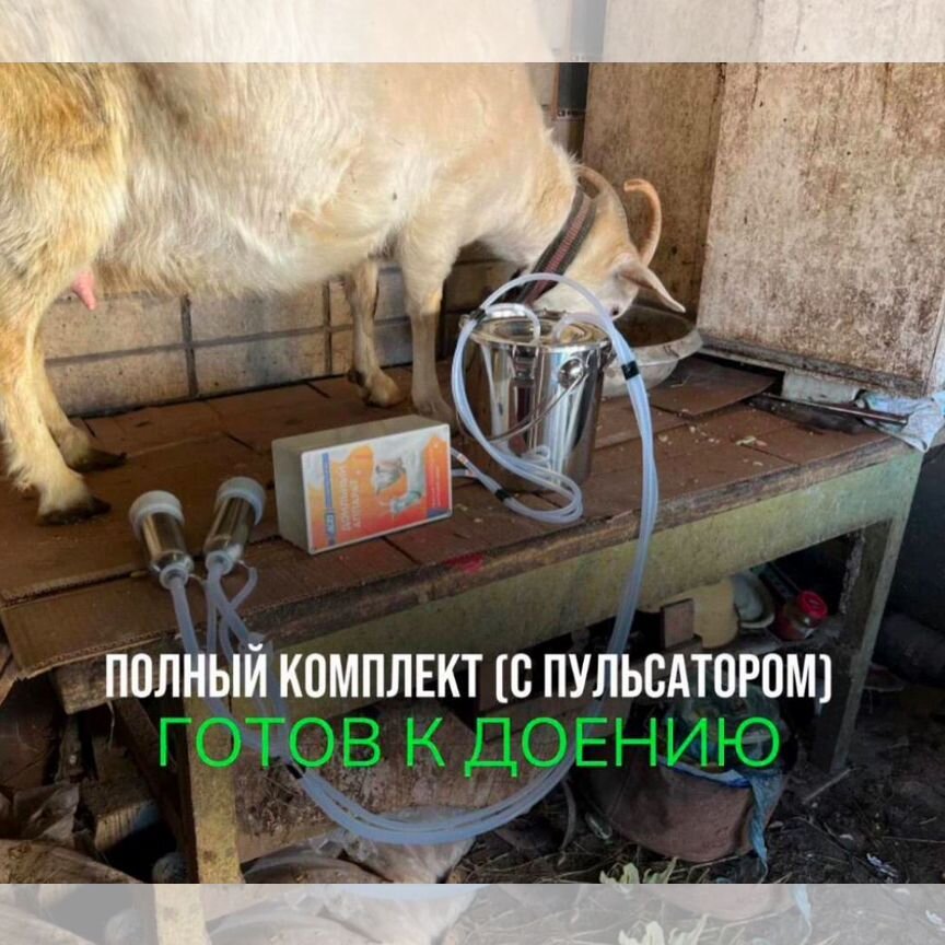 Доильный аппарат для коз, рассрочка