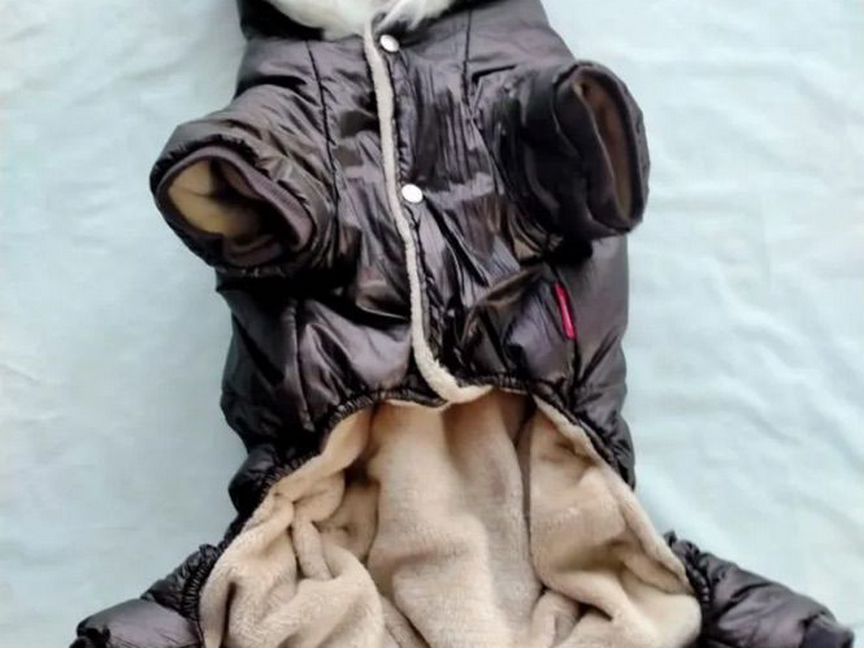 Комбинезон д/собак или щенков средних пород