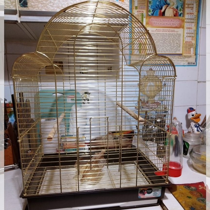 Клетка для попугая