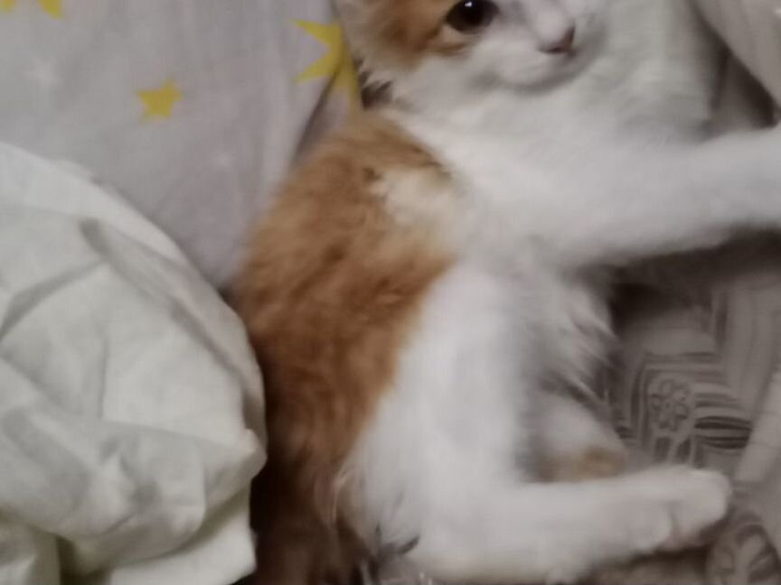 Маленький хулиган