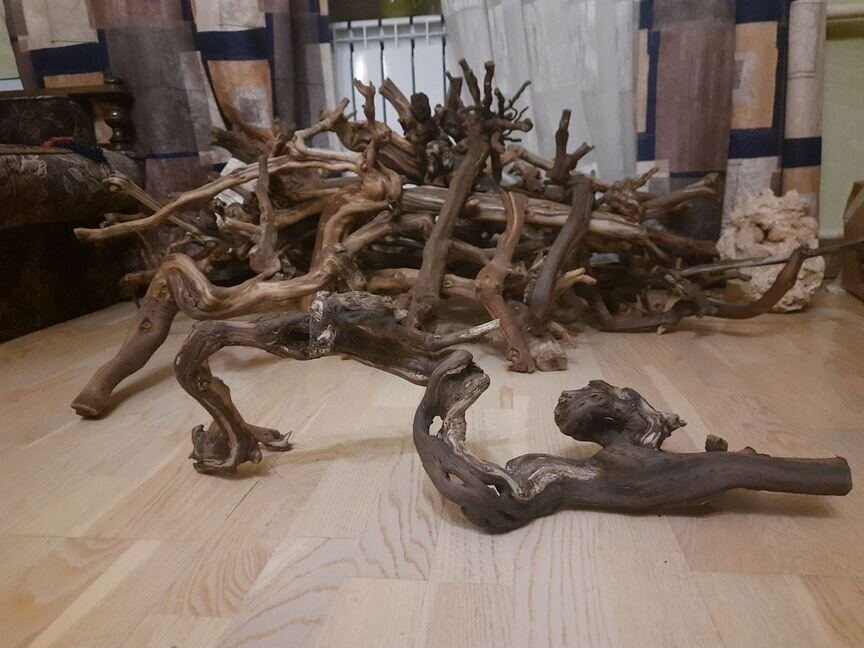 Коряга виноградная