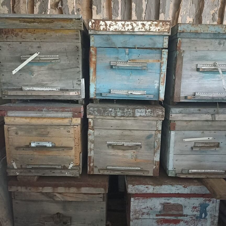 Ульи для пчел