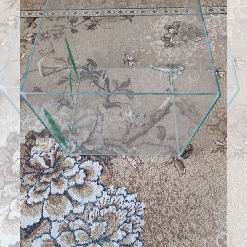 Аквариумы бу