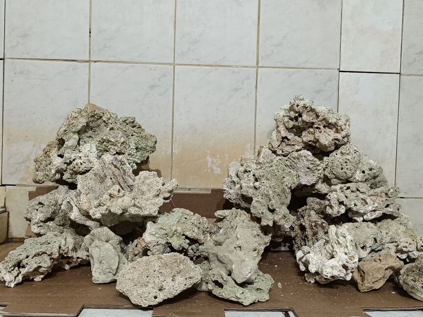 Сухой рифовый камень