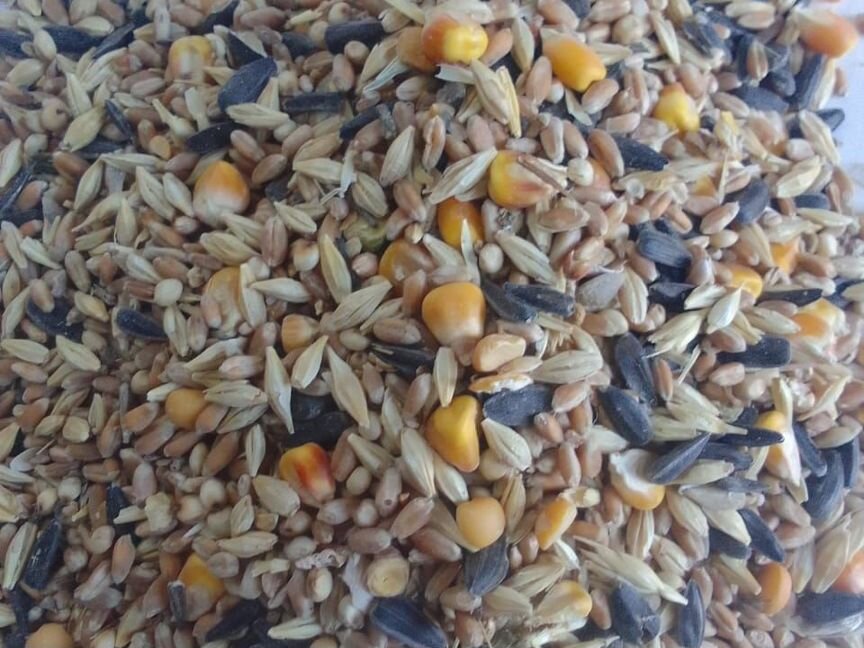 Зерносмесь для животных